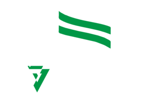 Sisteme complexe de securitate – Syntegra Security