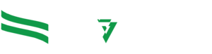 Sisteme complexe de securitate – Syntegra Security